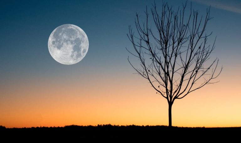 16 Poesie sulla Luna: i versi più belli ed emozionanti