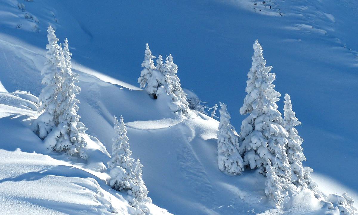 41 Proverbi sulla Neve (con immagini): i modi di dire più belli e ...